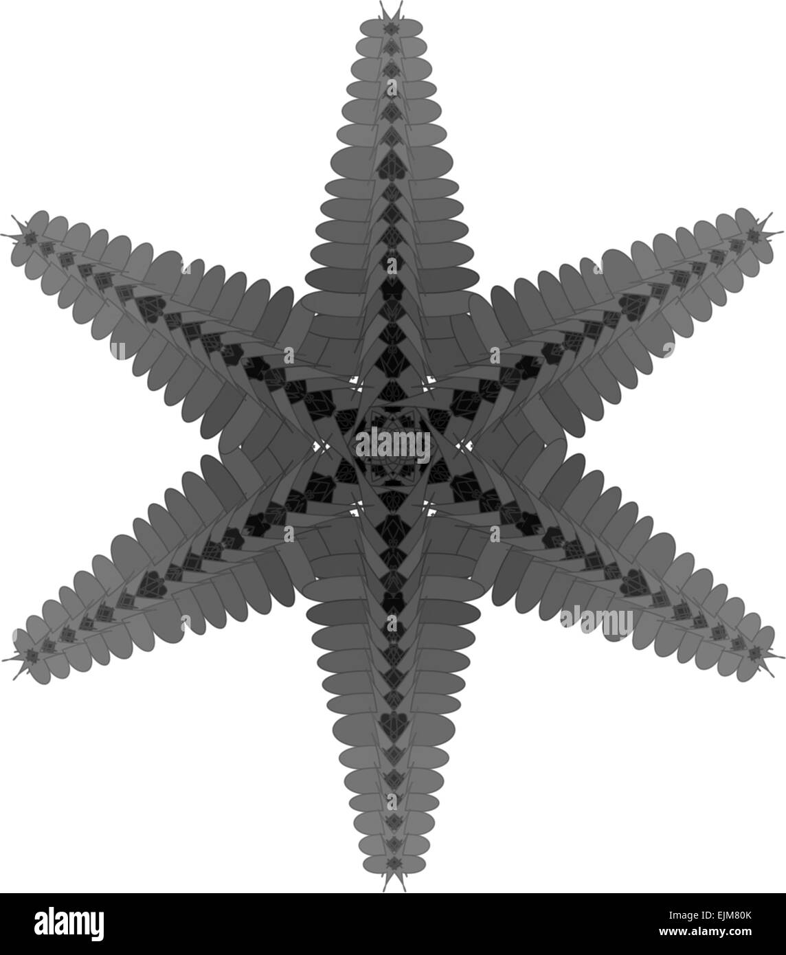 Trilobite Illustration High Resolution Stock Photography and Images - Alamy