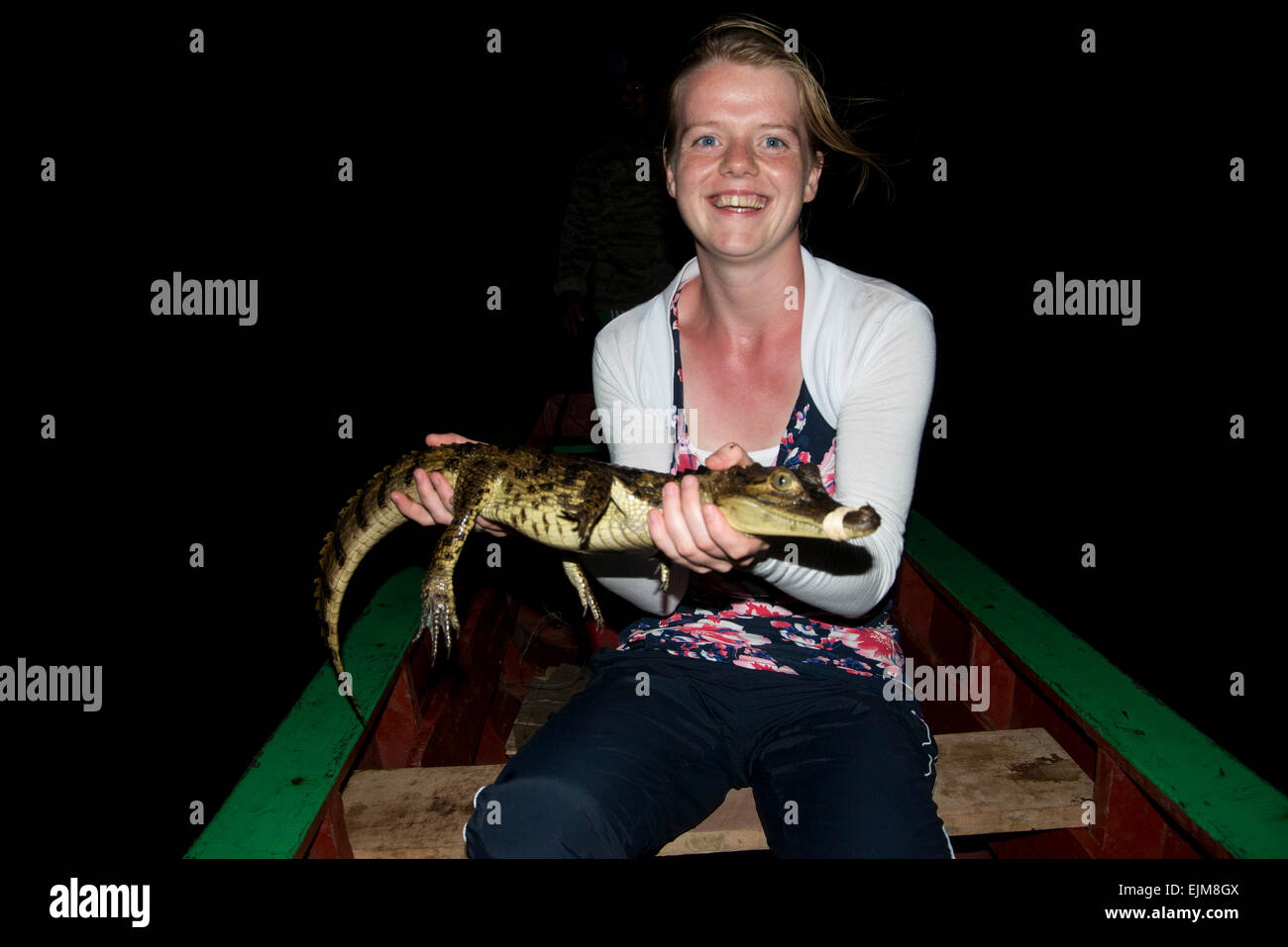 Common caiman hi-res stock photography and images - Alamy