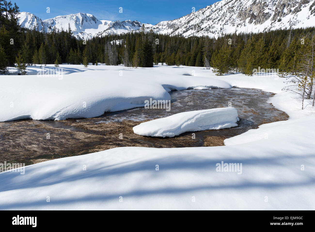 Stream running through meadow in winter, Wallowa Mountains, Oregon ...