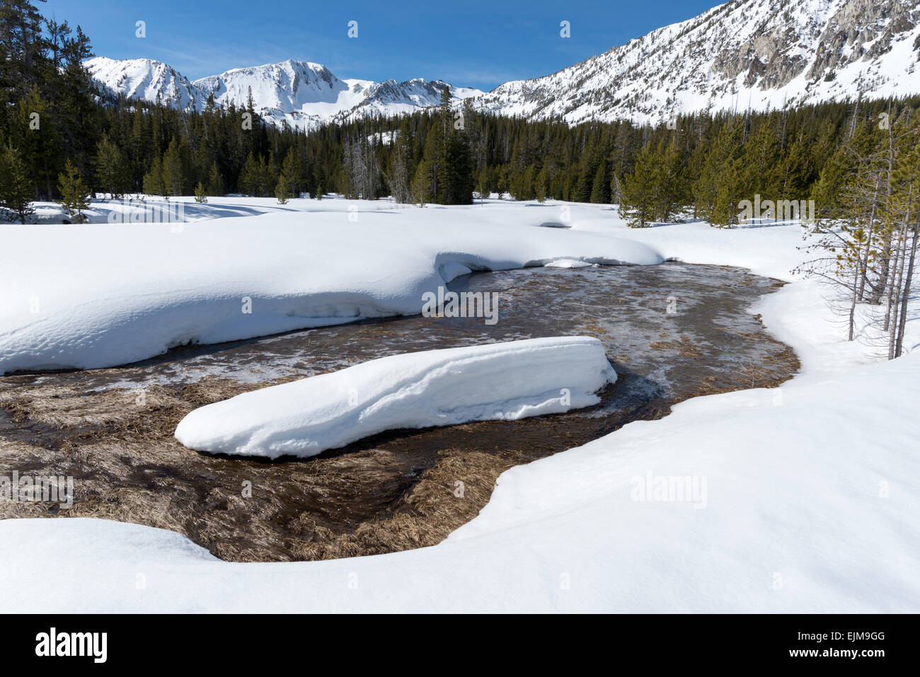 Stream running through meadow in winter, Wallowa Mountains, Oregon ...