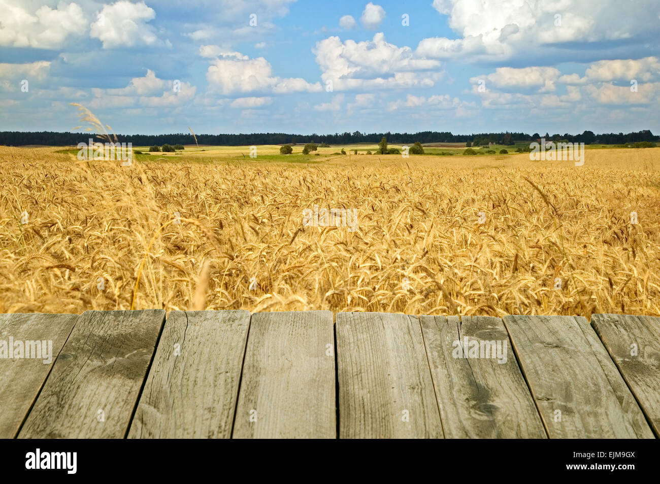 Sky wood construction hi-res stock photography and images - Alamy