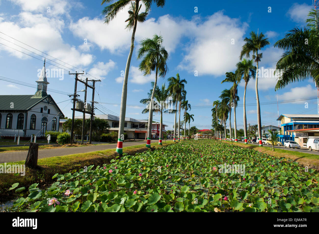 Nieuw nickerie hi-res stock photography and images - Alamy