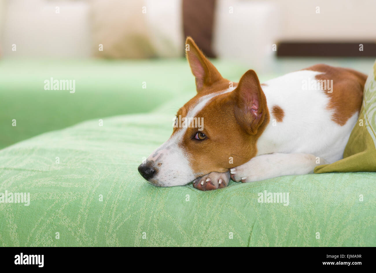 Boring domestic hi-res stock photography and images - Alamy