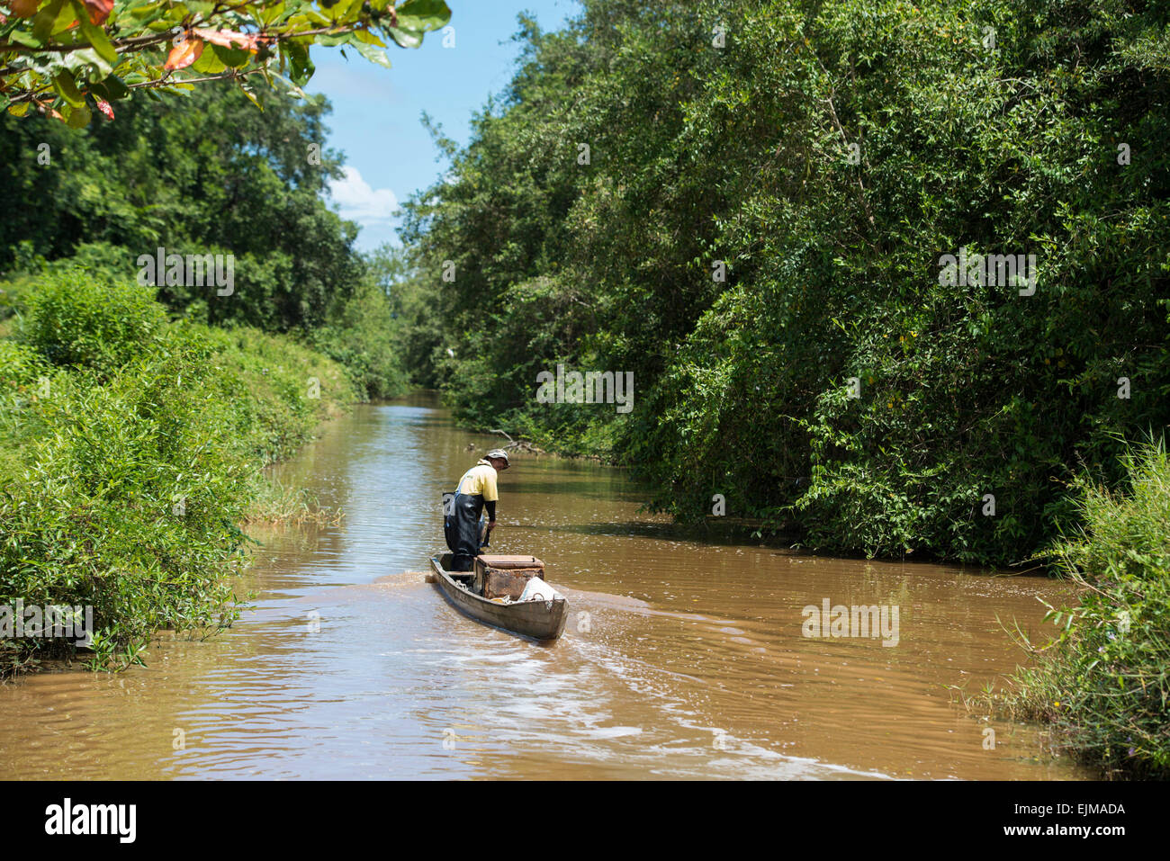 Boat in a channel leading to Bigi Pan, near Nieuw Nickerie, Suriname ...