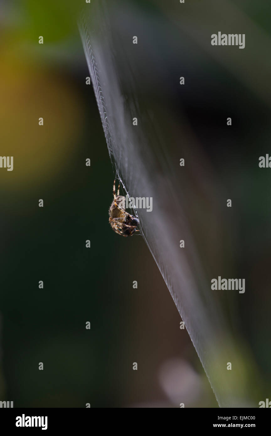 90 degree angle hi-res stock photography and images - Alamy