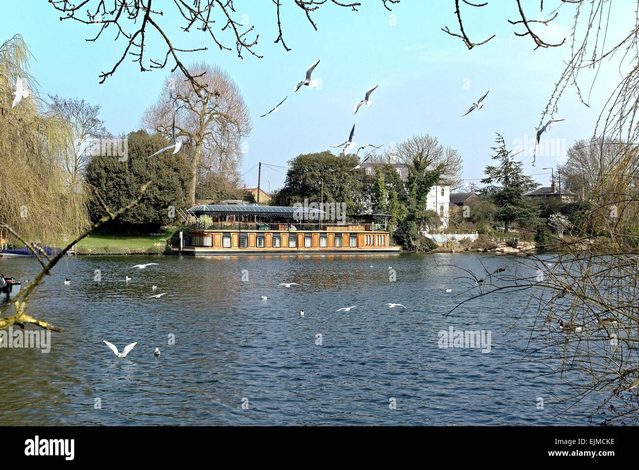 Astoria houseboat on the River Thames at Hampton Court West London ...