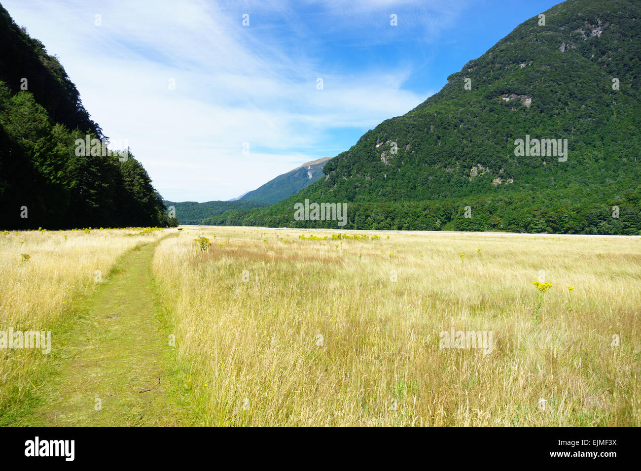 Path through grassy meadow in valley between mountain ranges in the ...