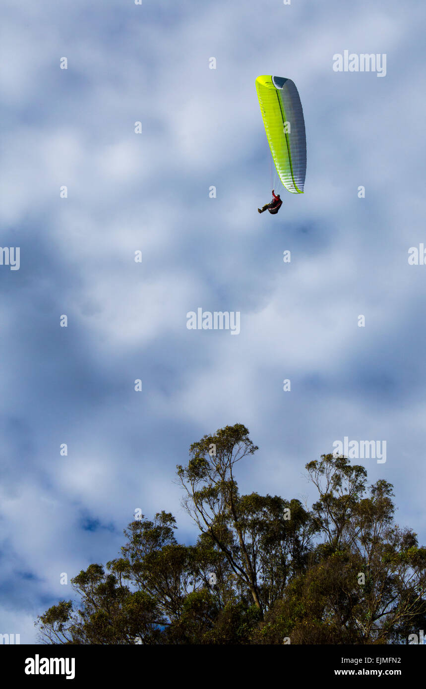 Paraglider Above the Cliffs and Trees Stock Photo - Alamy