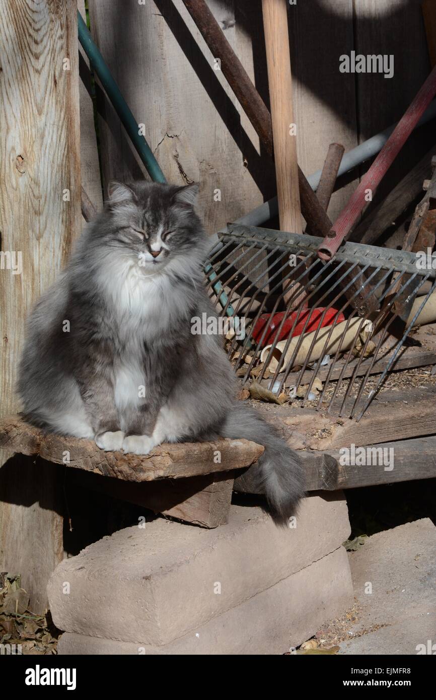 Slump block hi-res stock photography and images - Alamy