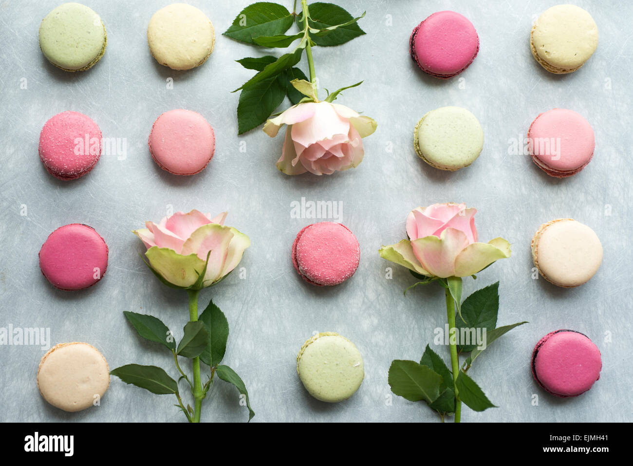 Pastel-colored French macarons in still life with roses Stock Photo - Alamy