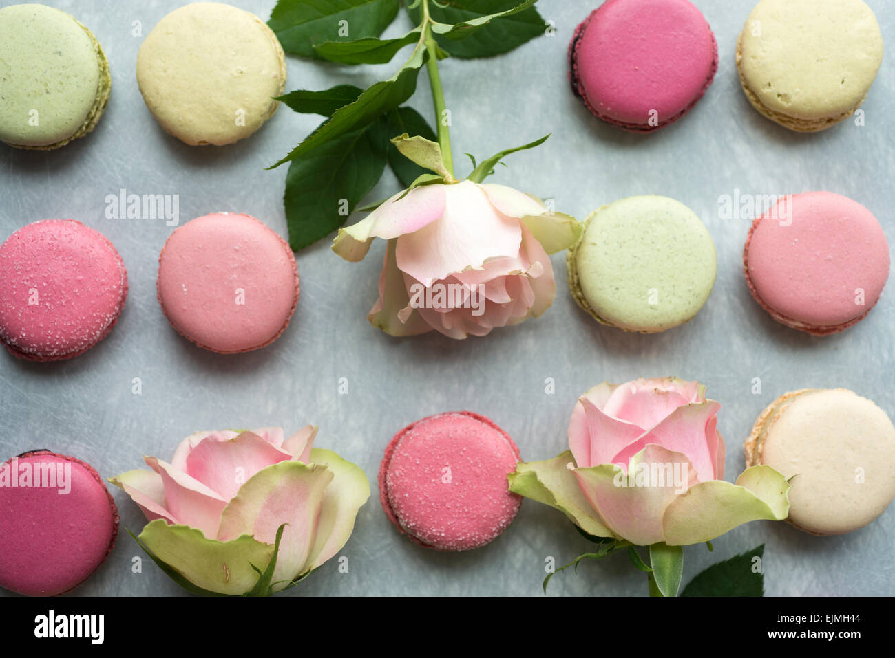 Pastel-colored French macarons in still life with roses Stock Photo - Alamy