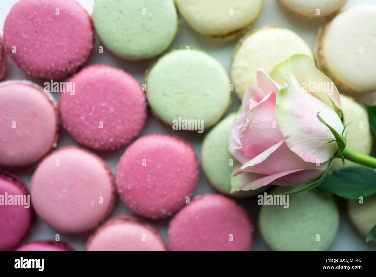 Pastel-colored French macarons in still life with rose Stock Photo - Alamy
