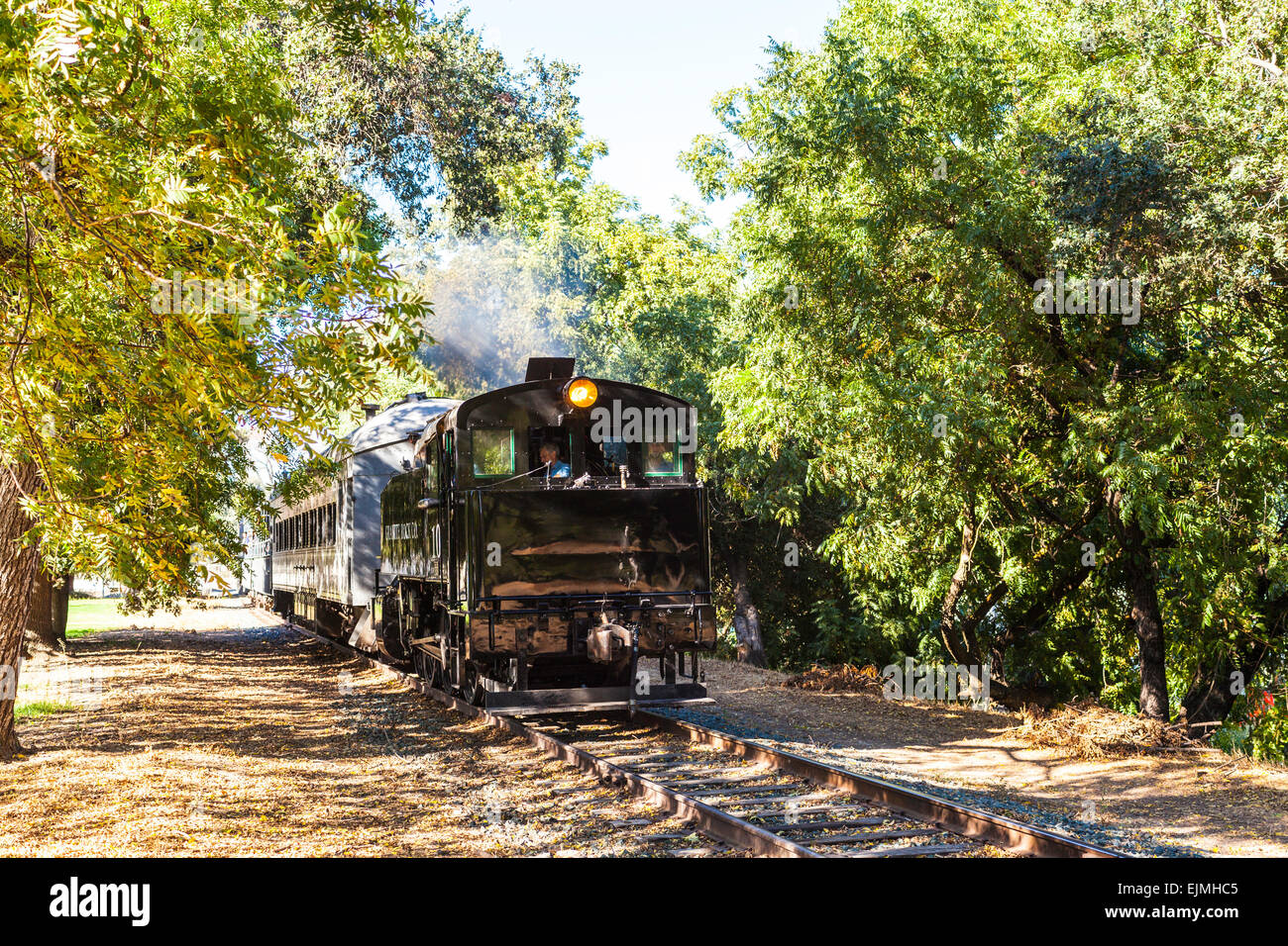The California State Railroad museums excursion train in Sacramento ...