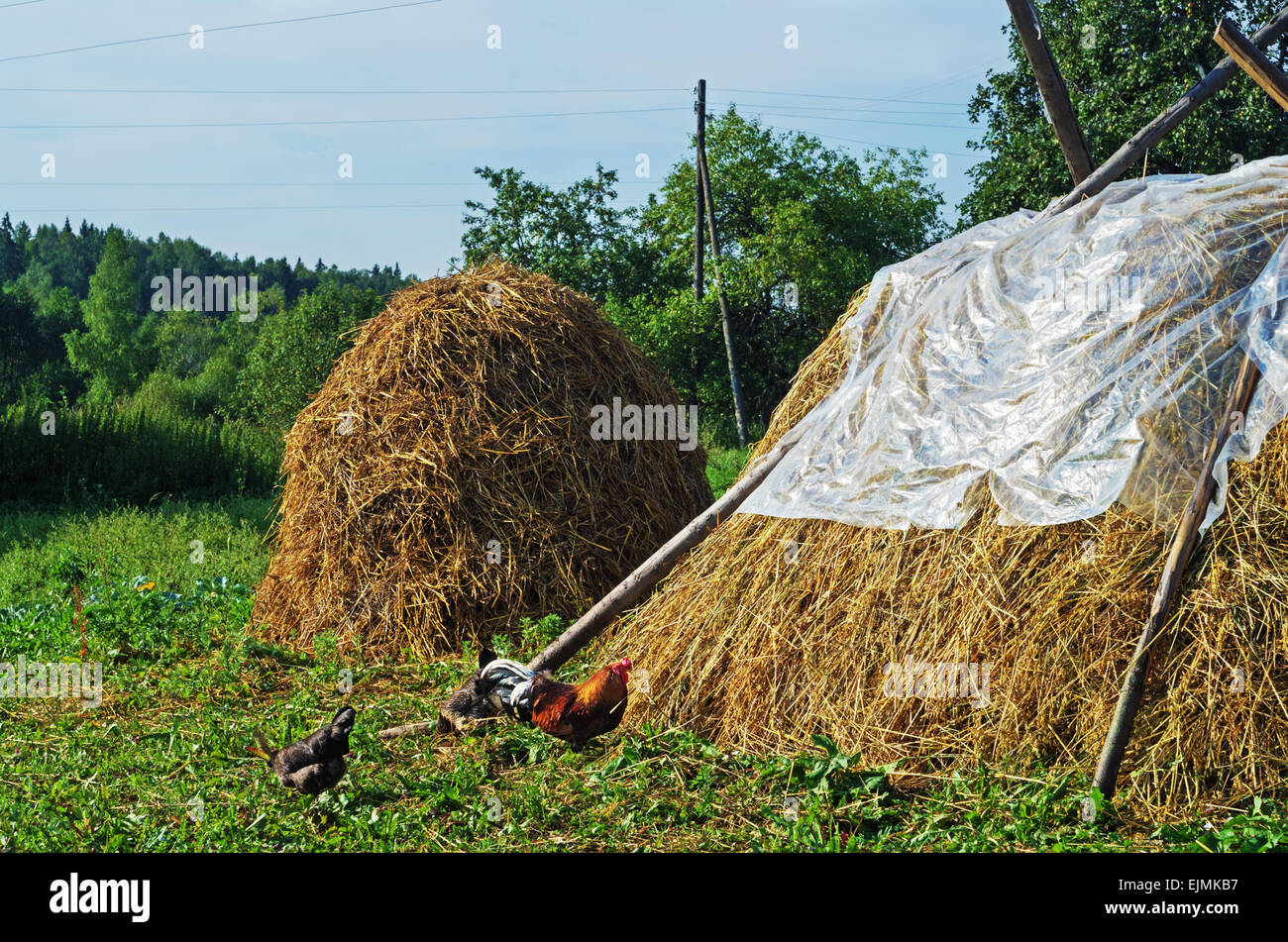 Haystacks in village Stock Photo - Alamy