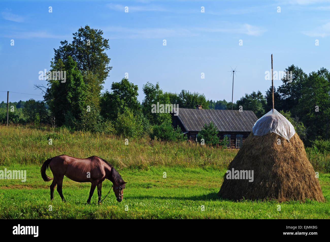 Rural landscape. Brown horse and haystack on pasture Stock Photo - Alamy