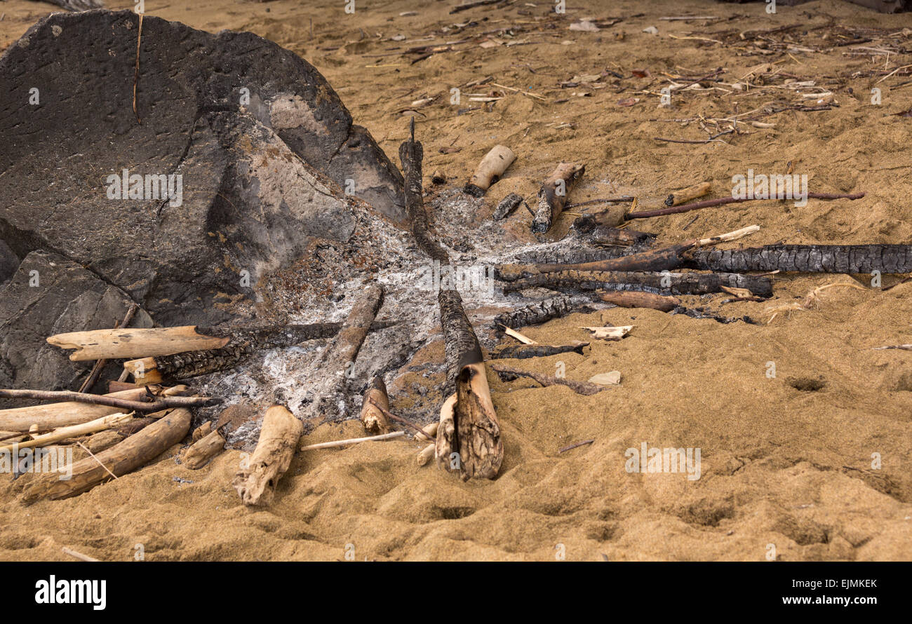 Old ashes and burned sticks form remains of old campfire or barbeque on ...