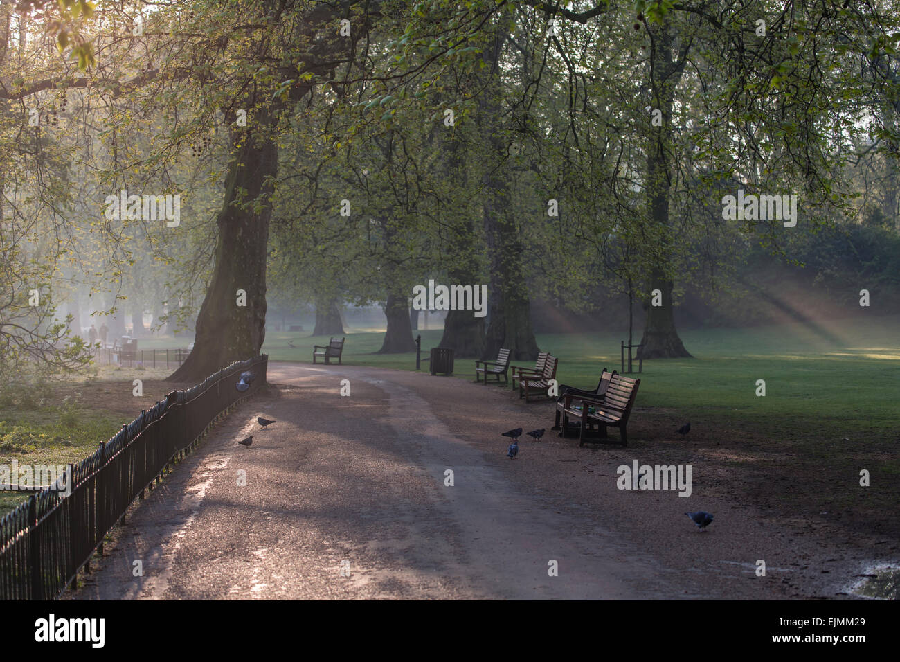 Benches, St. James's Park, London Stock Photo - Alamy