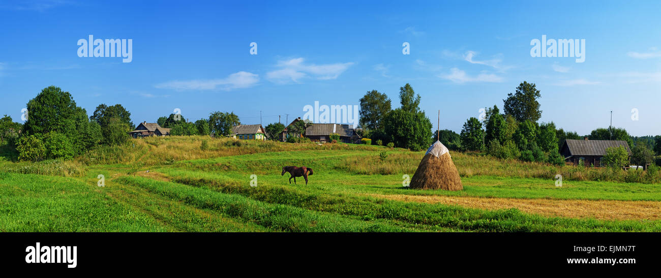 Rural landscape. Brown horse and haystack on pasture.Panorama Stock ...