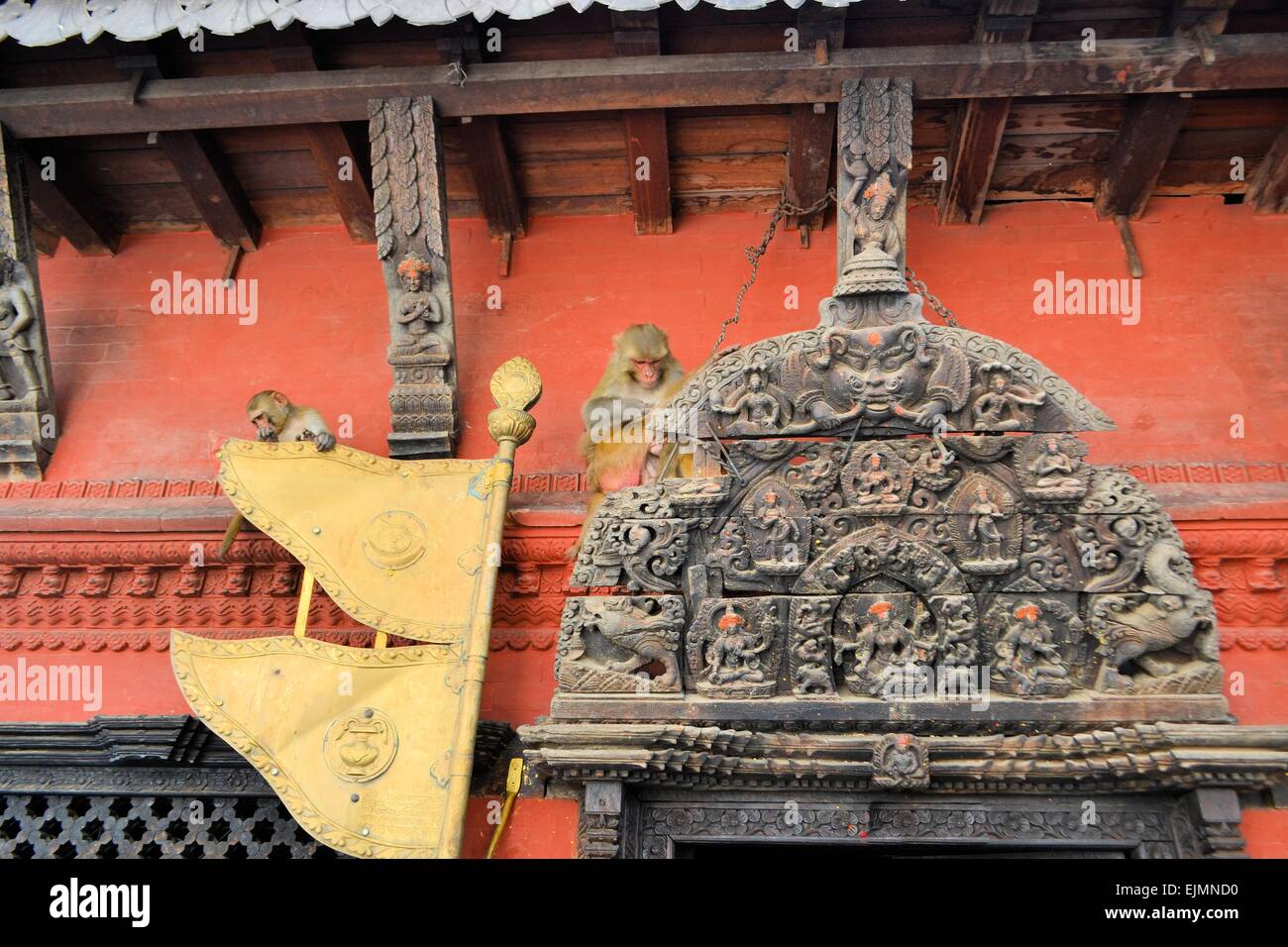 Temple door with monkeys, Kathmandu, Nepal Stock Photo - Alamy