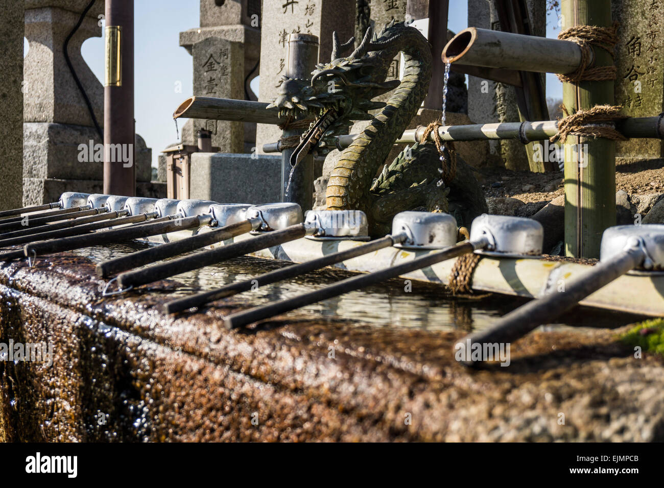 Japanese dragon water fountain pouring water into a chozubachi basin at ...