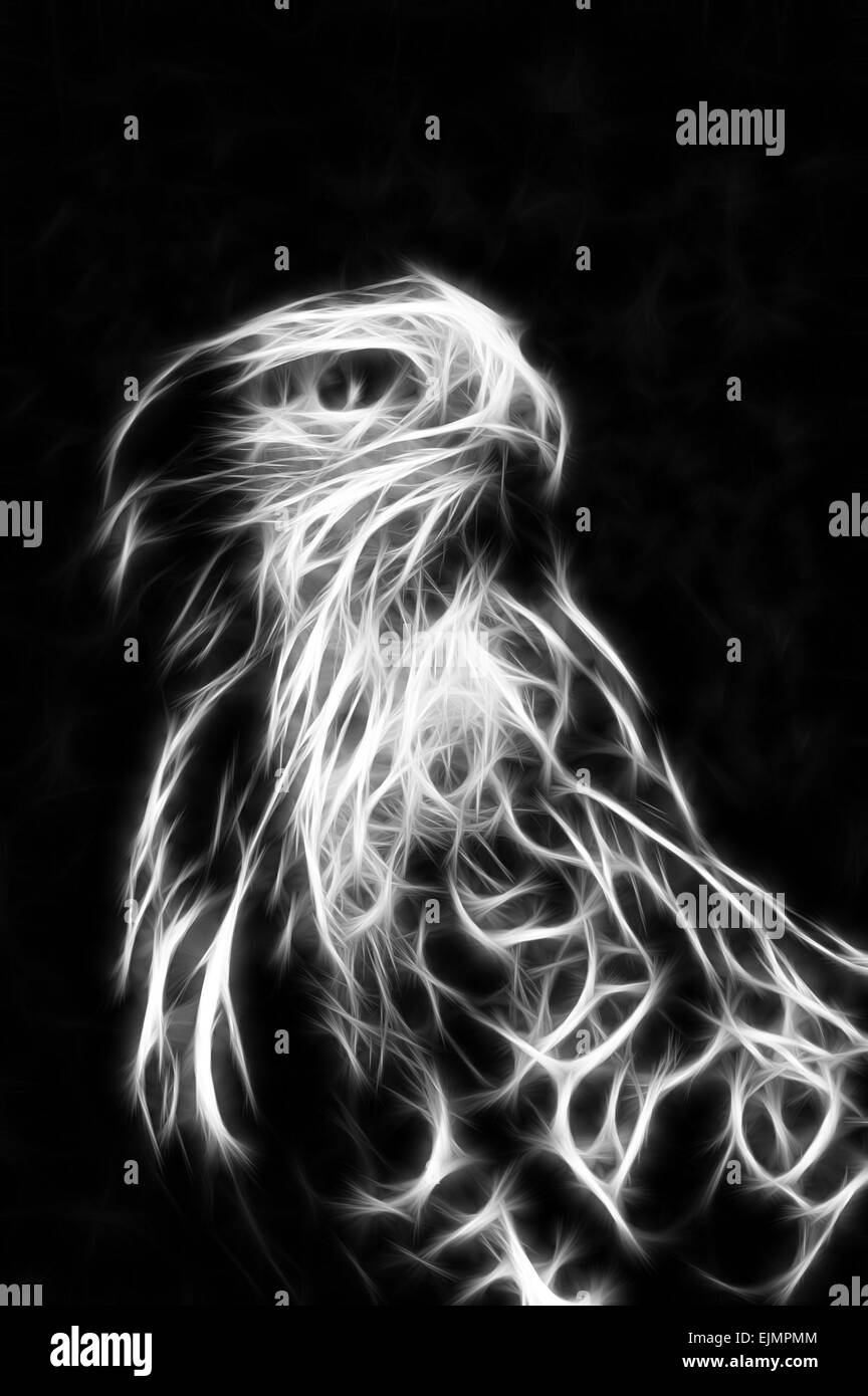 Genus eagle hi-res stock photography and images - Alamy