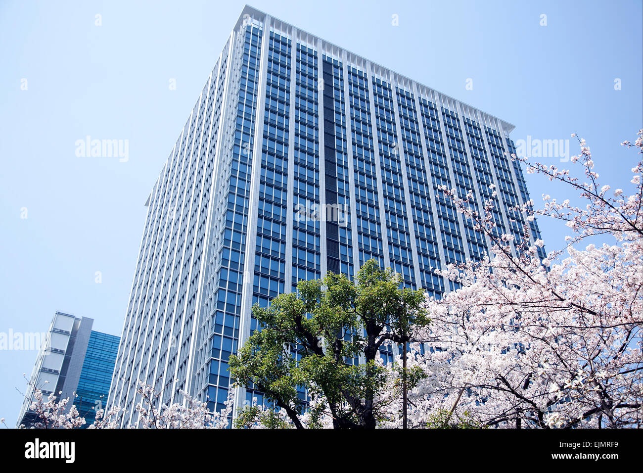 General view: the new building Shinagawa Season Terrance is under ...