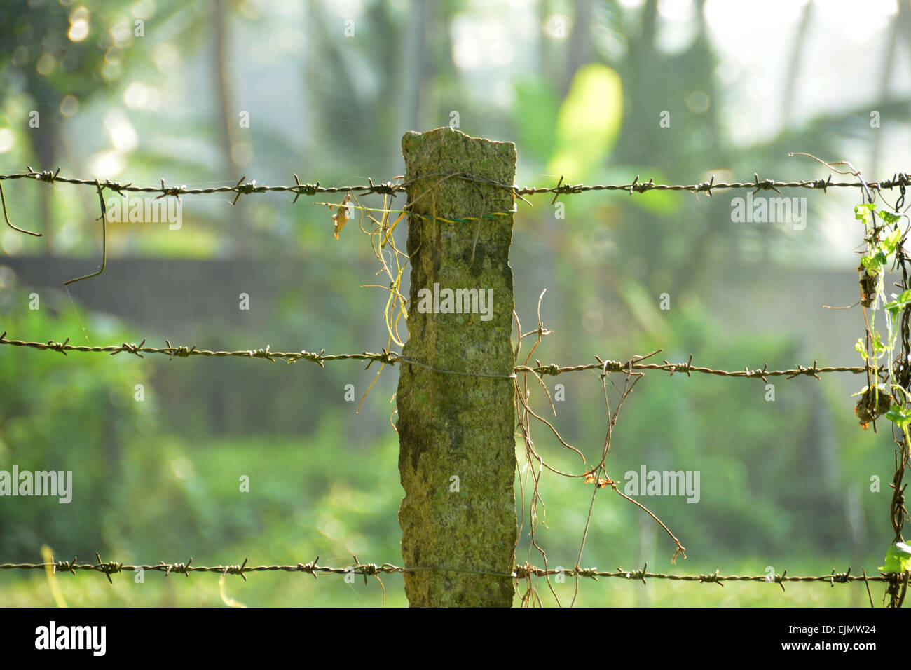 Essentials of life Stock Photo - Alamy