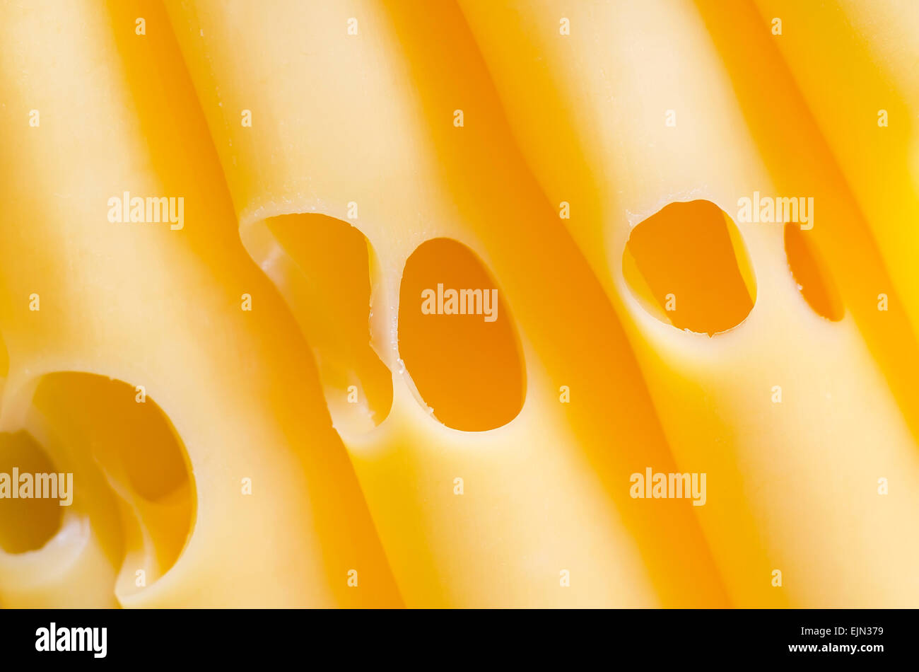 Cheese with the parsley, portion of the cheese Stock Photo - Alamy