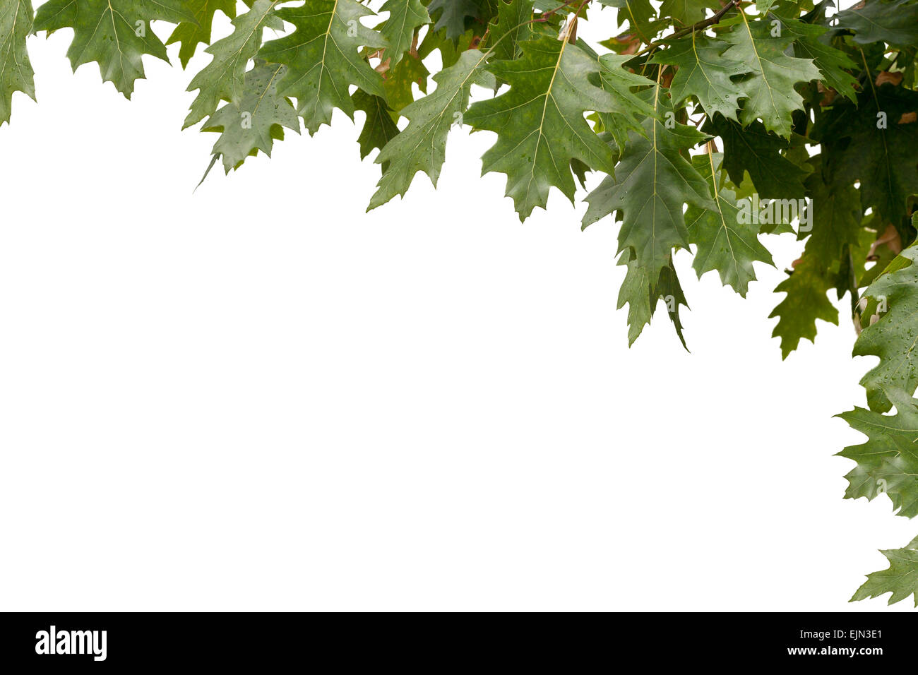 Corner border design hi-res stock photography and images - Alamy