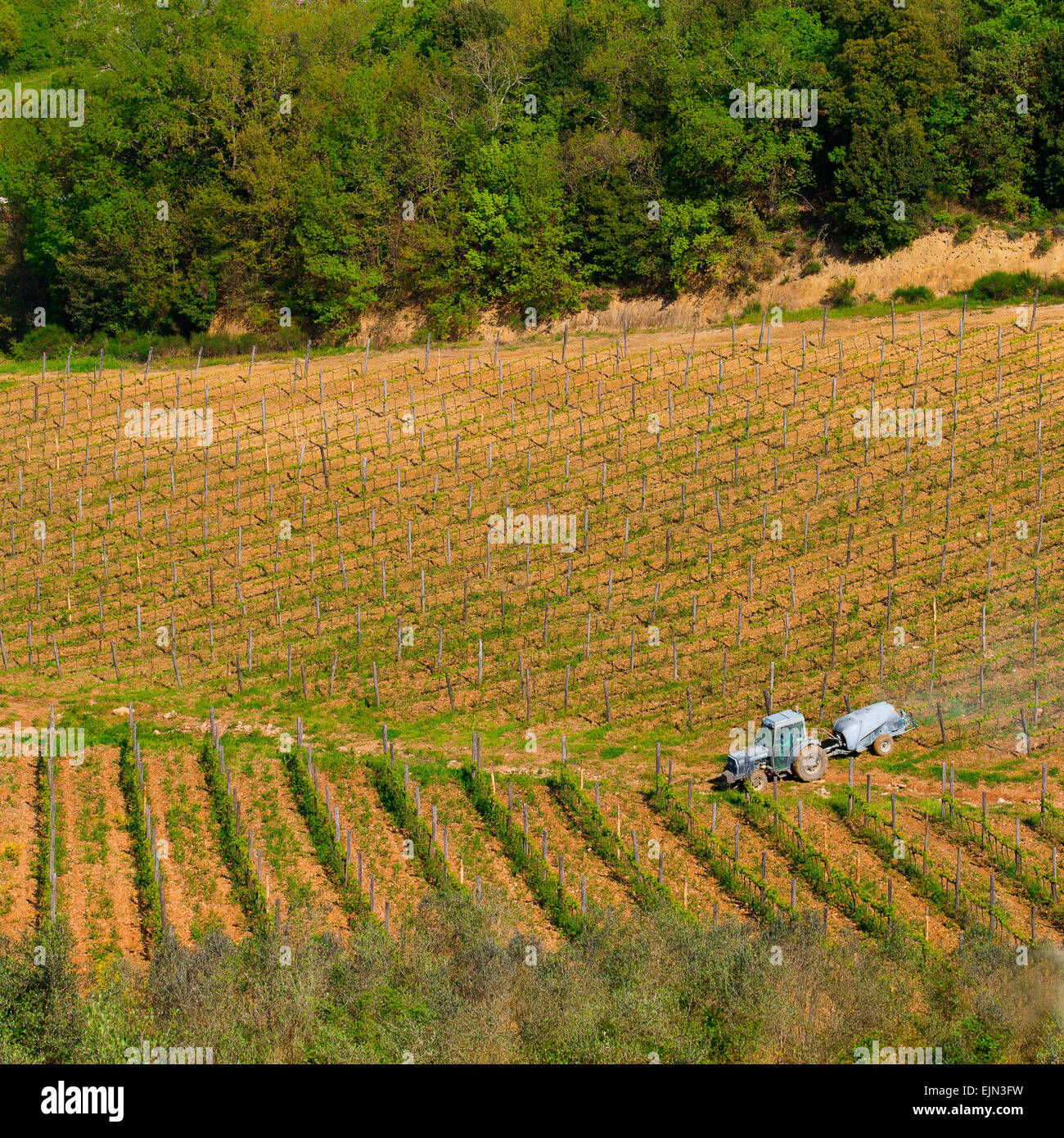 Field engine operating in the vineyard at spring Stock Photo - Alamy