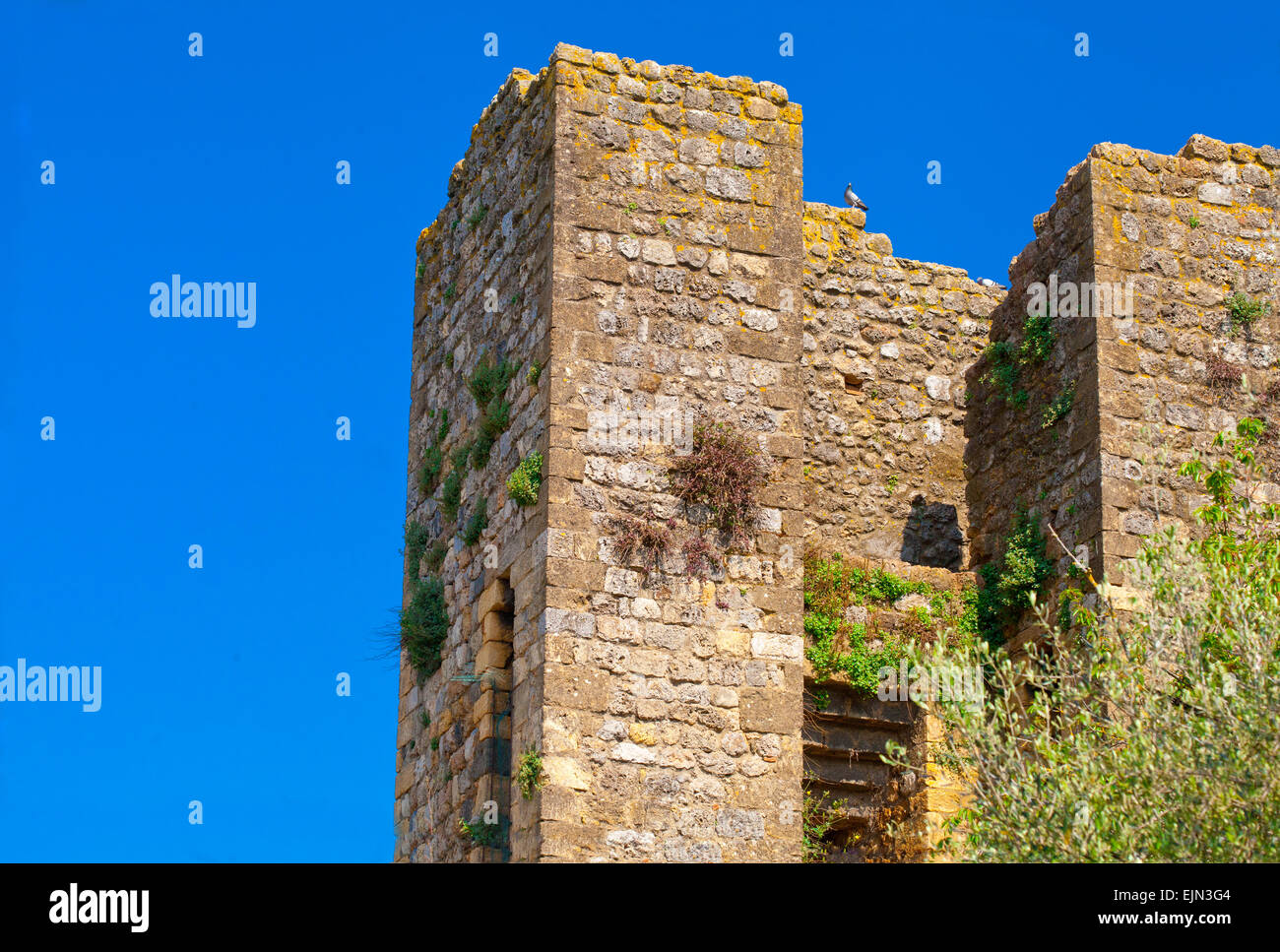 Ruined medieval tower hi-res stock photography and images - Alamy