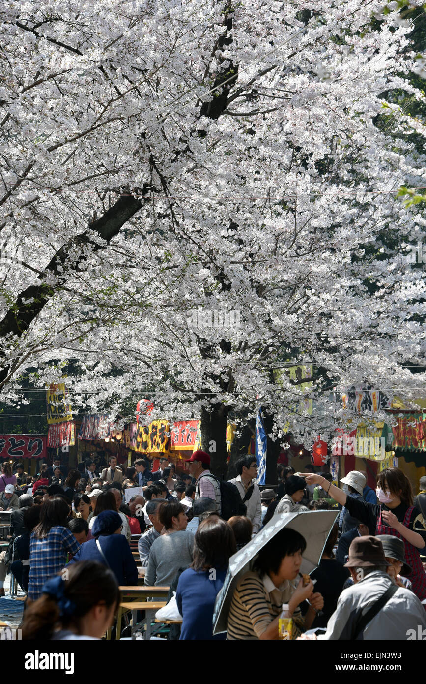 Tokyo, Japan. 30th Mar, 2015. Huge crowd throng Tokyo's Yasukuni Shrine ...