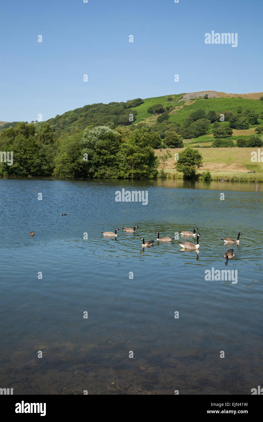 Middle lake, Dare Valley Country Park, Aberdare, Rhondda Cynon Taf ...