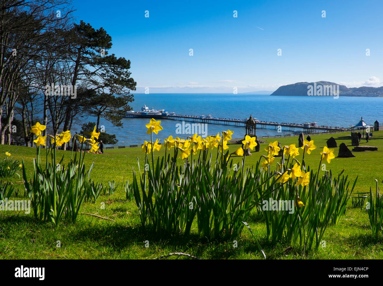Happy valley gardens hi-res stock photography and images - Alamy