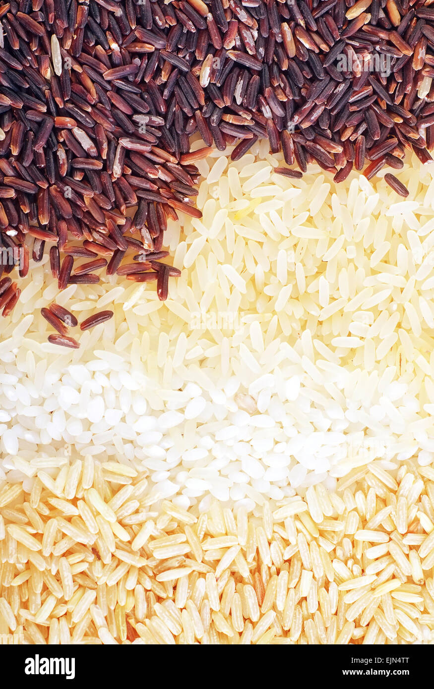 raw rice, background from different kinds of rice Stock Photo - Alamy