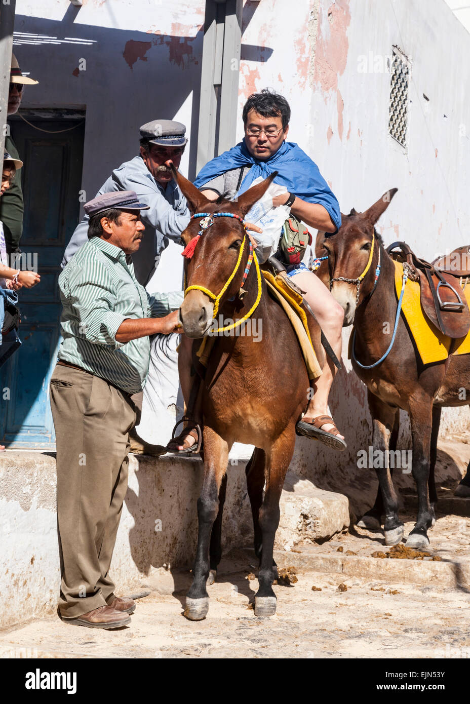 Tourist being helped onto a mule (donkey) to carry him up the steep ...