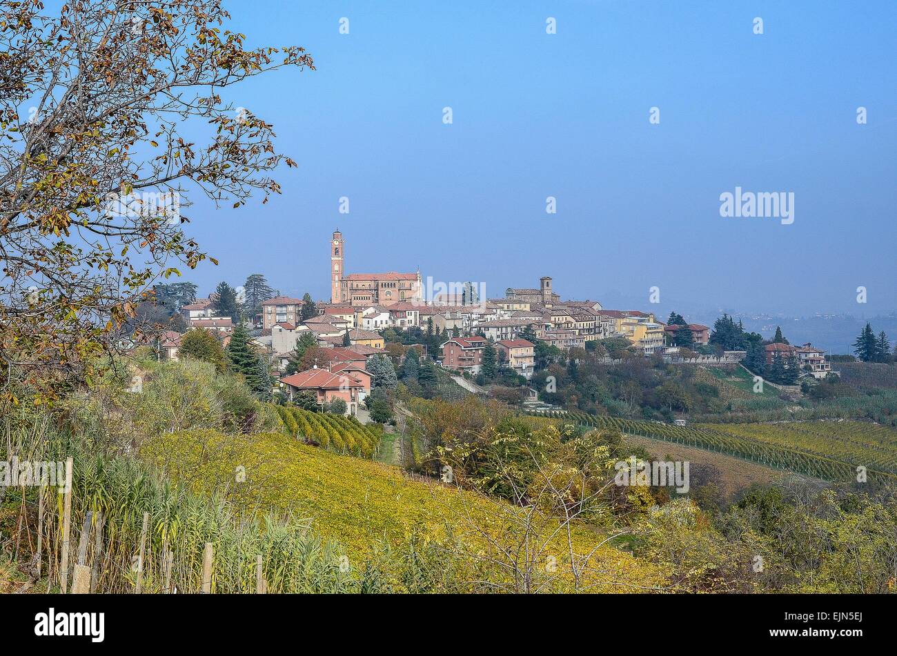 Monforte d'Alba a comune (municipality) in the Province of Cuneo in the ...