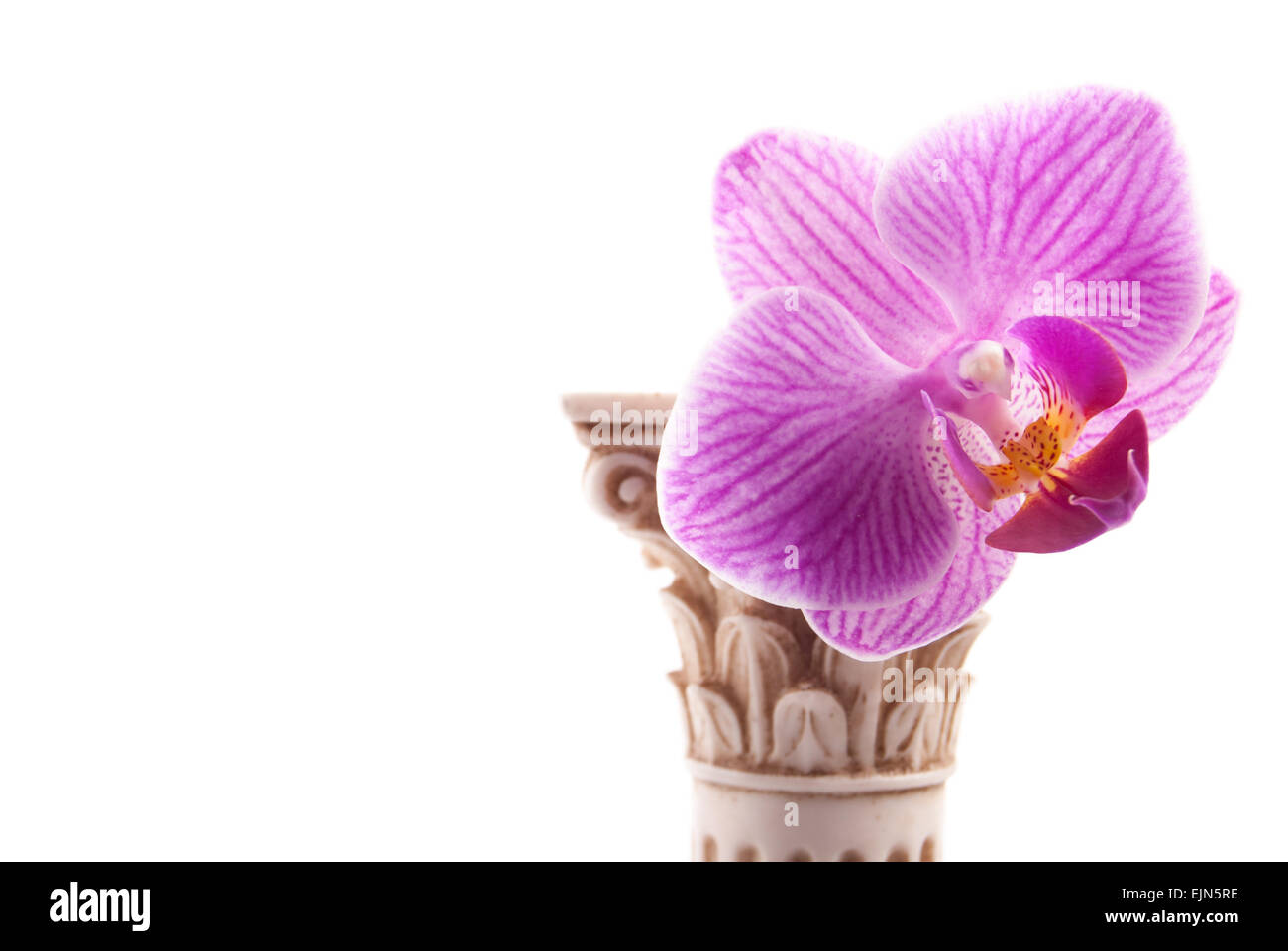 Classical column with flower Stock Photo - Alamy