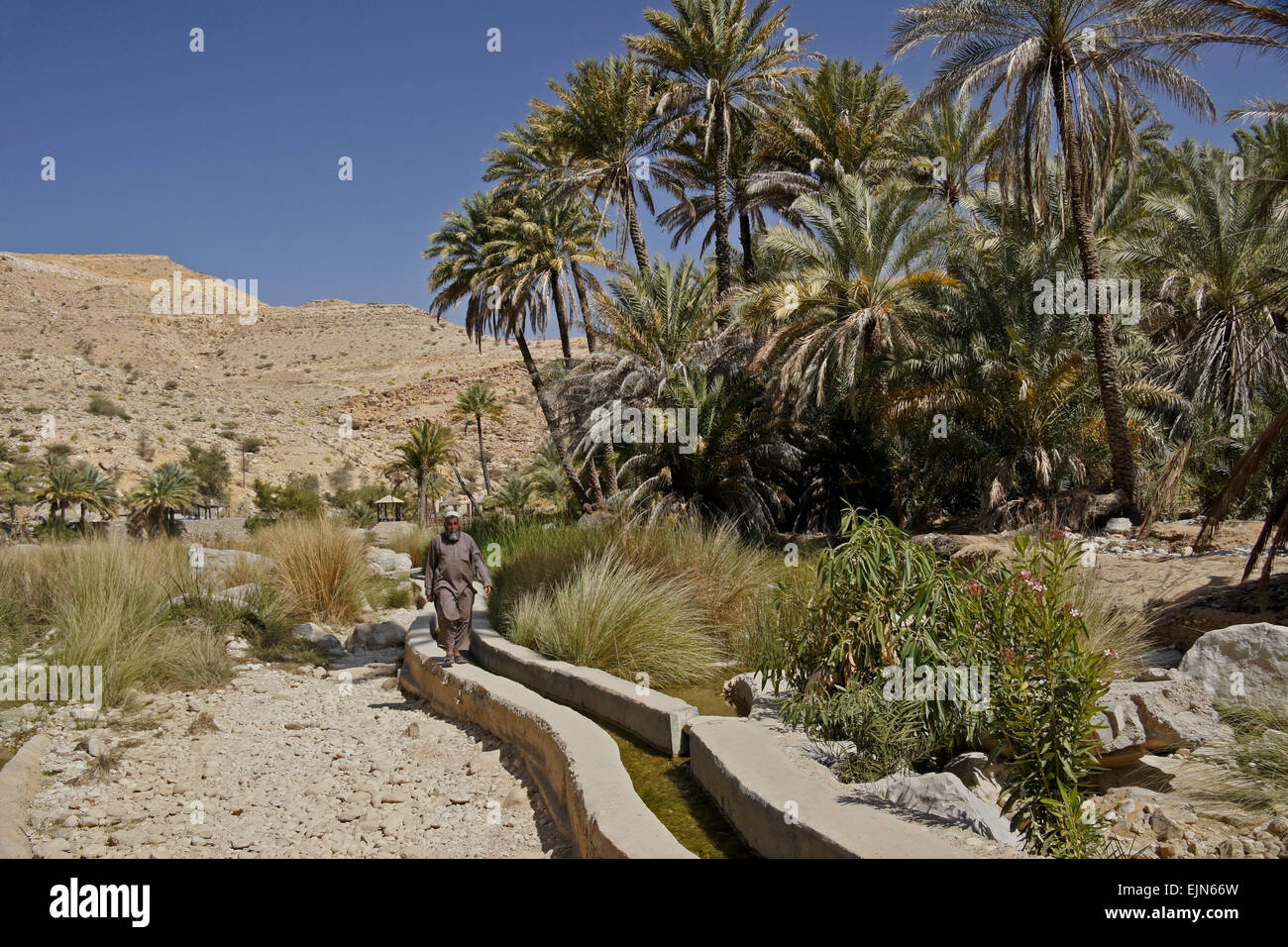 Oasis water channel hi-res stock photography and images - Alamy