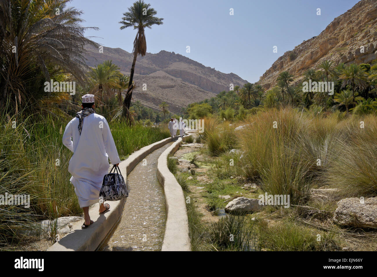 Oasis water channel hi-res stock photography and images - Alamy