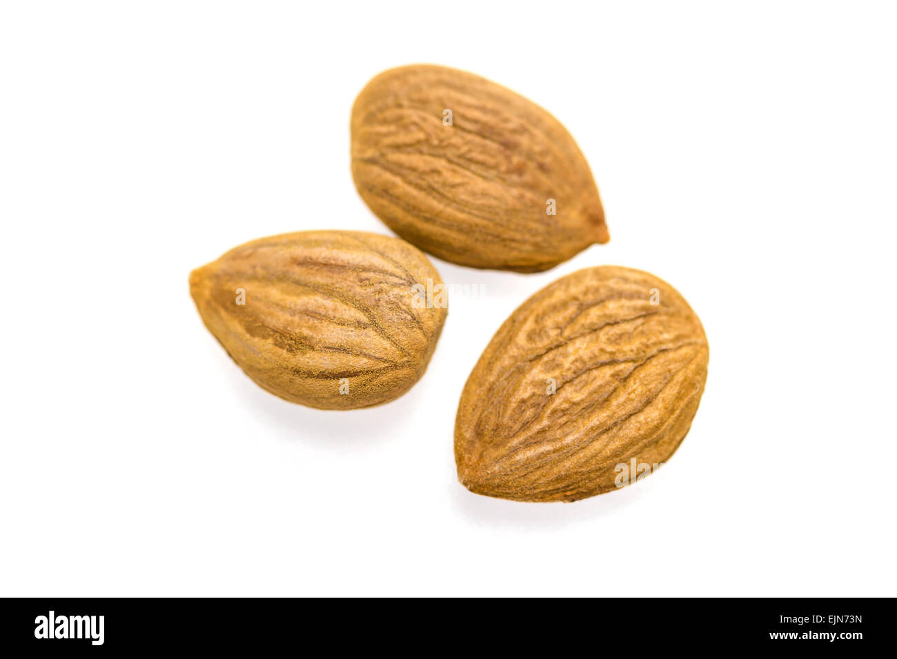 Apricot kernel / nuts isolated on white background Stock Photo - Alamy