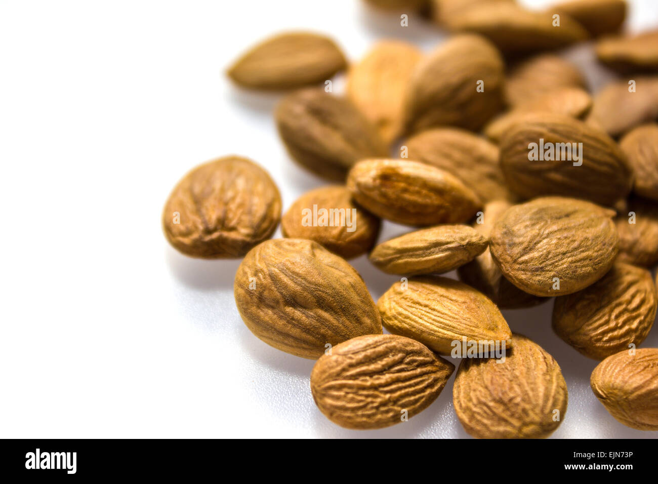 Apricot kernel / nuts isolated on white background Stock Photo - Alamy