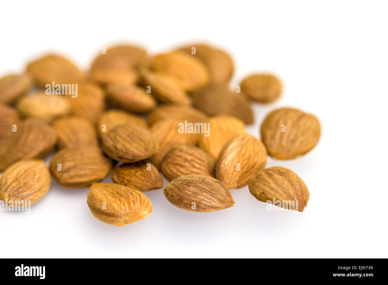 Apricot kernel / nuts isolated on white background Stock Photo - Alamy