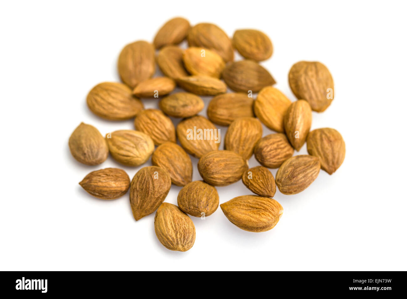 Apricot kernel / nuts isolated on white background Stock Photo - Alamy