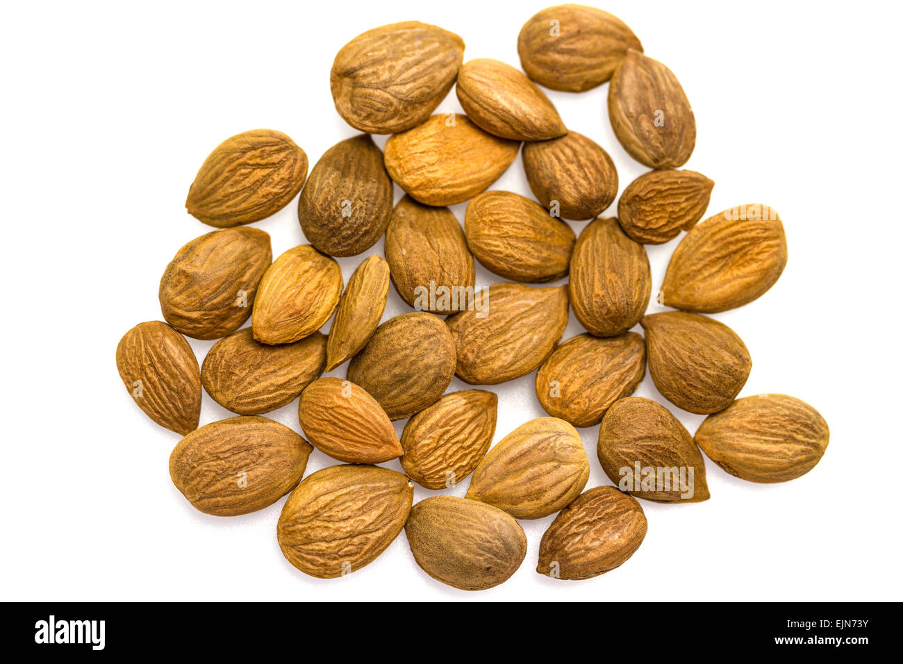 Apricot kernel / nuts isolated on white background Stock Photo - Alamy