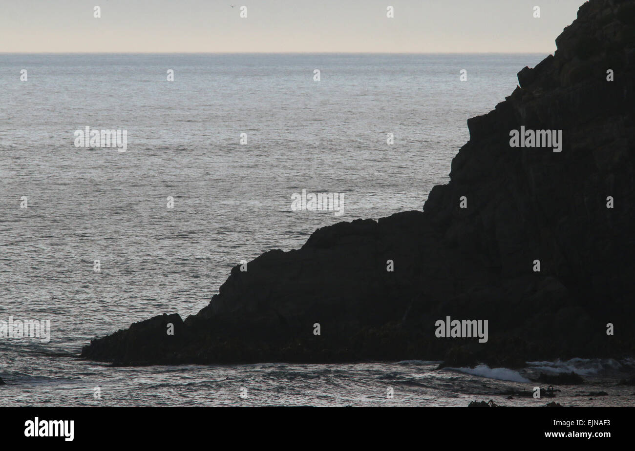 Roaring bay cliffs at sunset New Zealand Stock Photo - Alamy