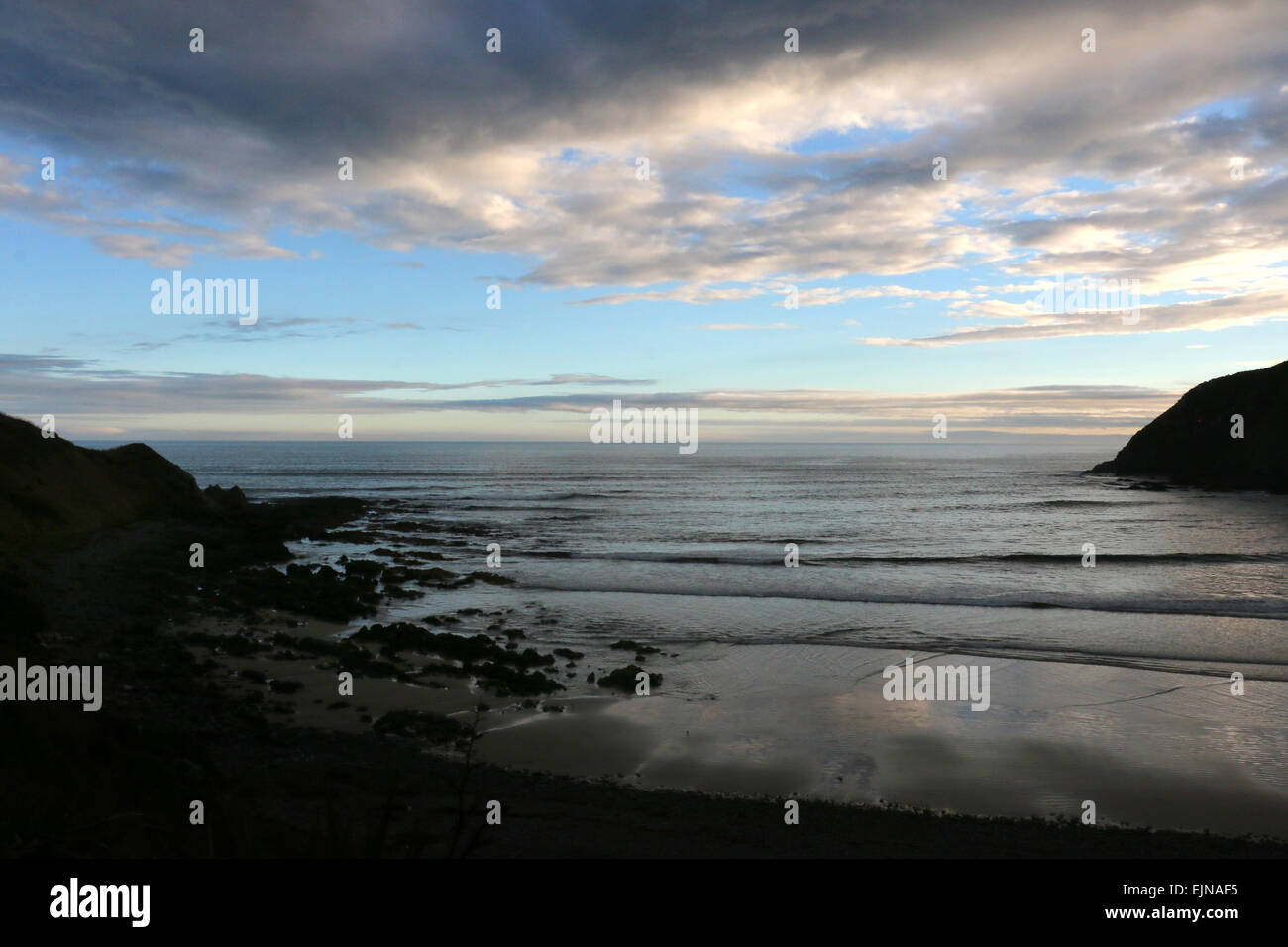 Roaring bay cliffs at sunset New Zealand Stock Photo - Alamy