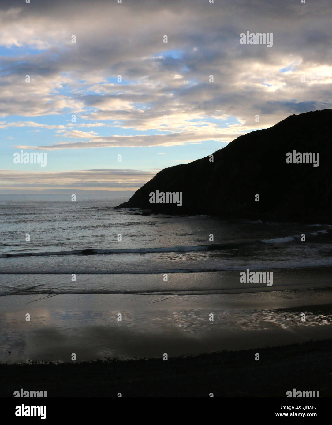 Roaring bay cliffs at sunset New Zealand Stock Photo - Alamy