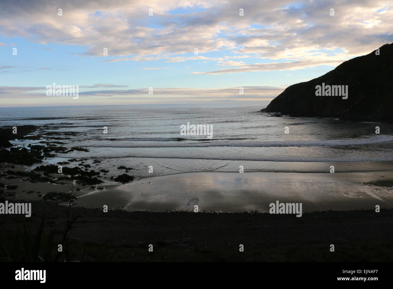 Roaring bay cliffs at sunset New Zealand Stock Photo - Alamy