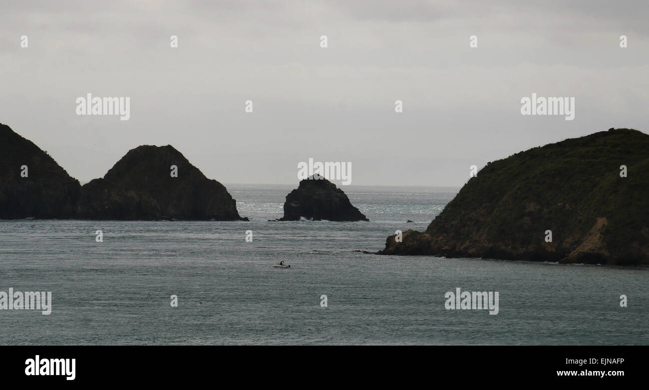 Entrance to Cook Strait from Picton New Zealand Stock Photo - Alamy